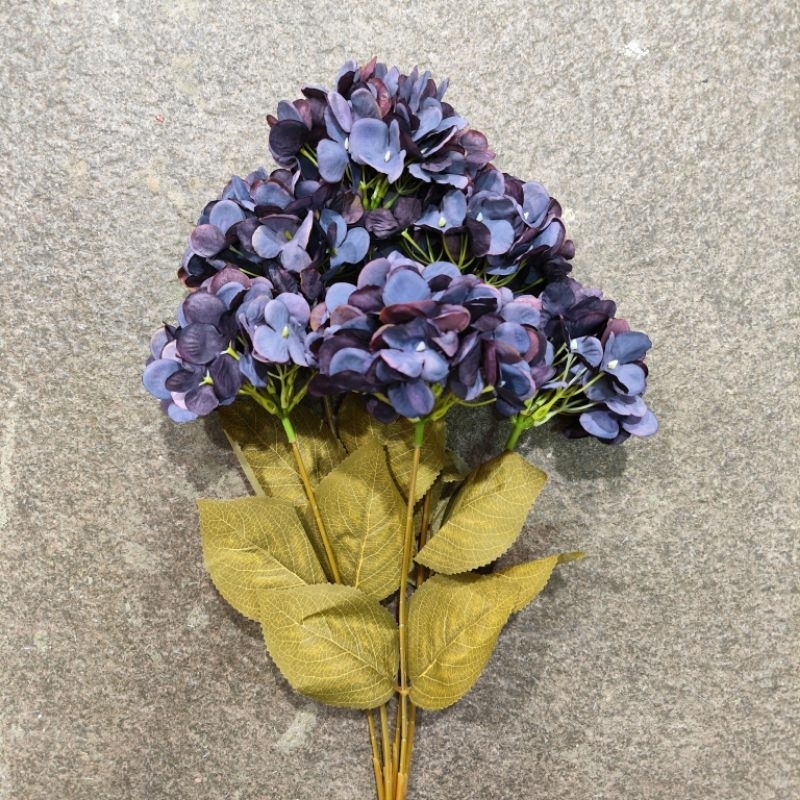 Jual Bunga Bokor / Hortensia / Hydrangea Autumn x6 PREMIUM | Shopee ...