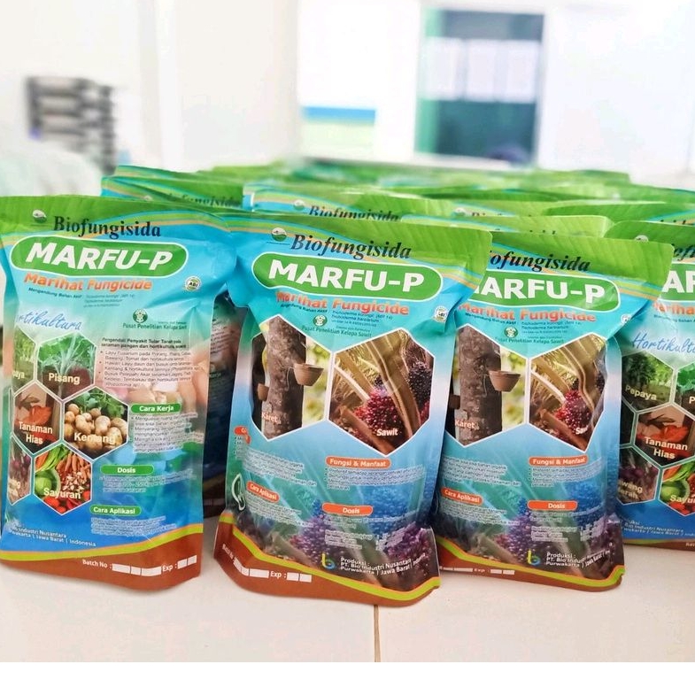 Jual Bio Fungisida Organik tanaman Trichoderma Marfu - P (1 kg ...