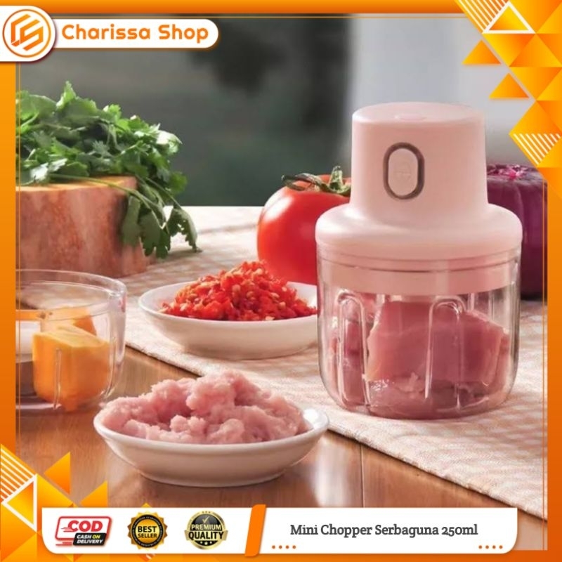 Jual Mini Chopper Serbaguna 250ml / Mini Chopper Elektrik | Shopee ...