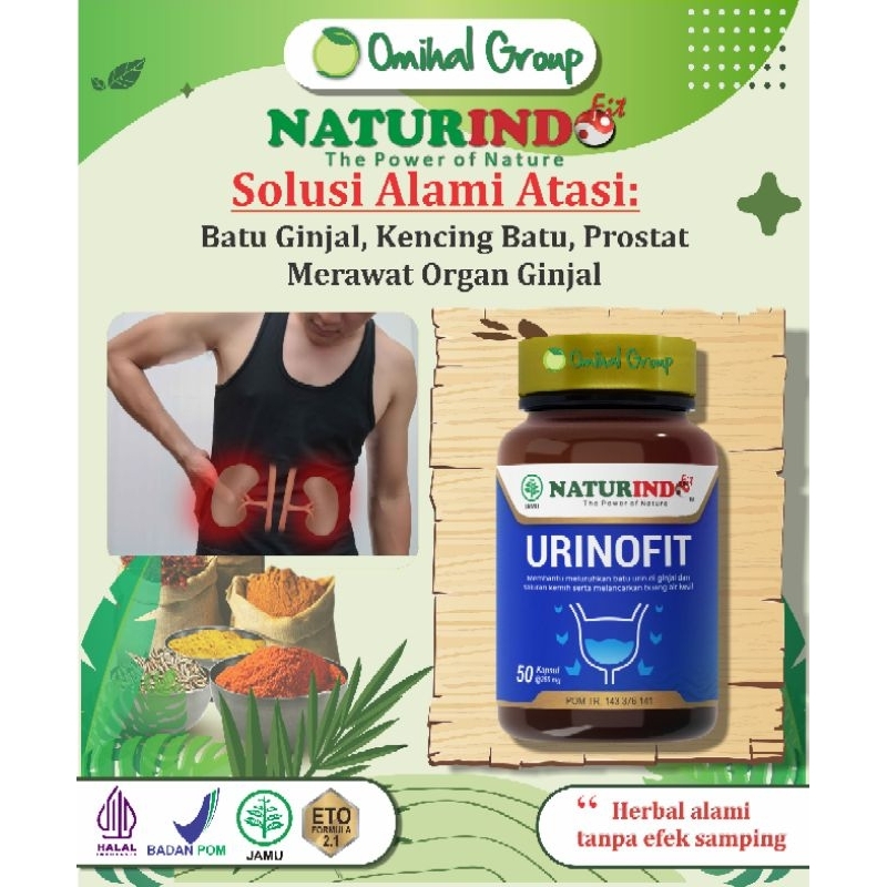 Jual OBAT GINJAL BOCOR - BENGKAK - BATU GINJAL - URIN BERBUSA - SUSAH ...