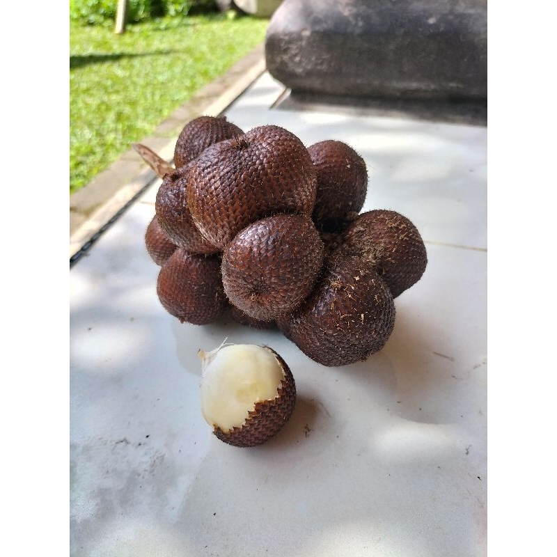 Jual Salak GULA Pasir Asli Bali (1Kg) | Shopee Indonesia