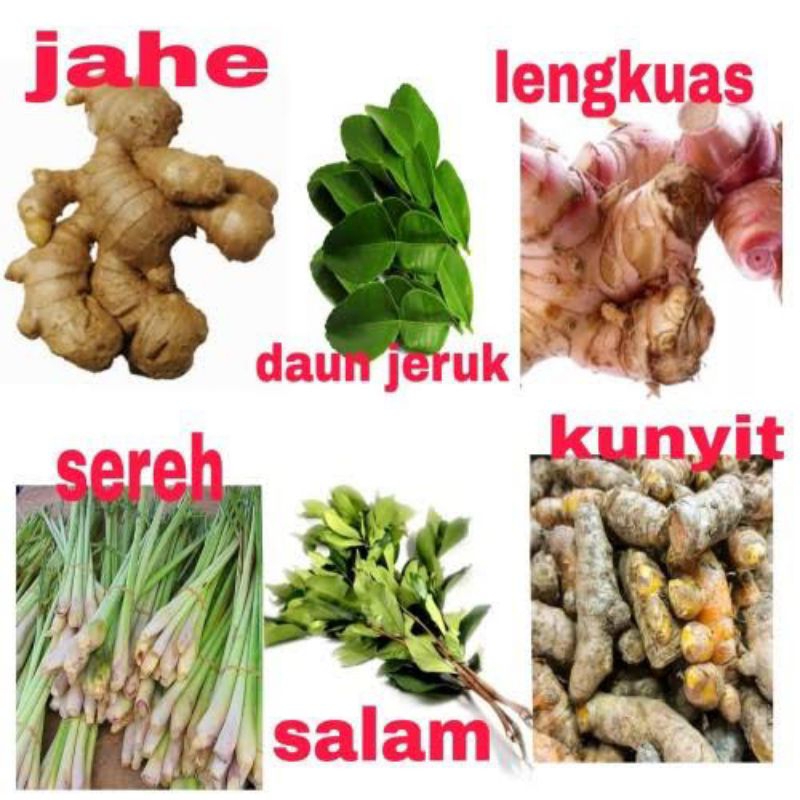 Jual Bumbu Dapur Paket Hemat 5 Ribu | Shopee Indonesia