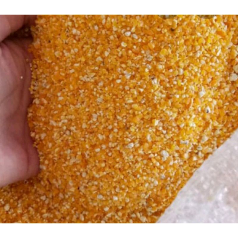 Jual PROMO PAKAN TERNAK Jagung Giling Kering 10 Kg | Shopee Indonesia