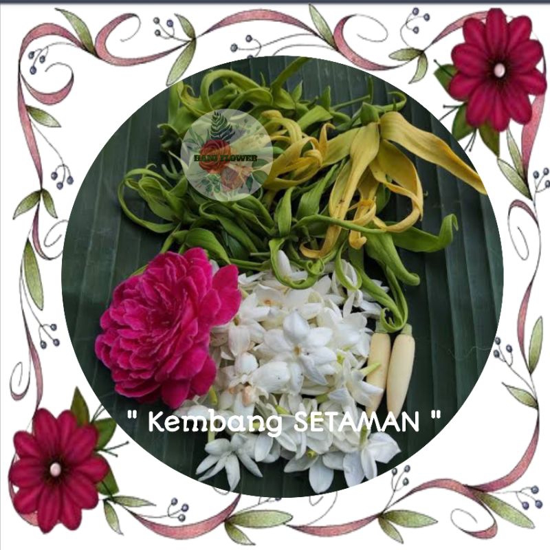 Jual KEMBANG SEGAR DAN WANGI SETAMAN | Shopee Indonesia