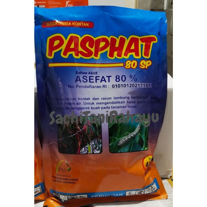 Jual INSEKTISIDA KONTAK - PASPHAT 80 SP - 400g | Shopee Indonesia