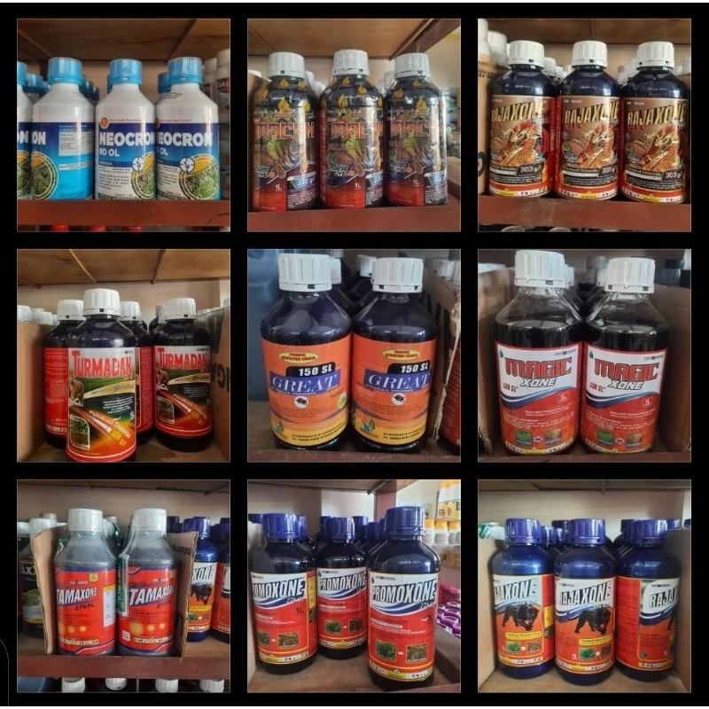 Jual Herbisida parakuat racun kontak pembakar gramoxone pembasmi rumput ...