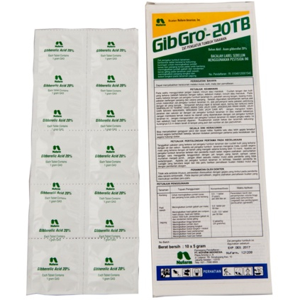 Jual ZPT Gibgro Tablet | Shopee Indonesia