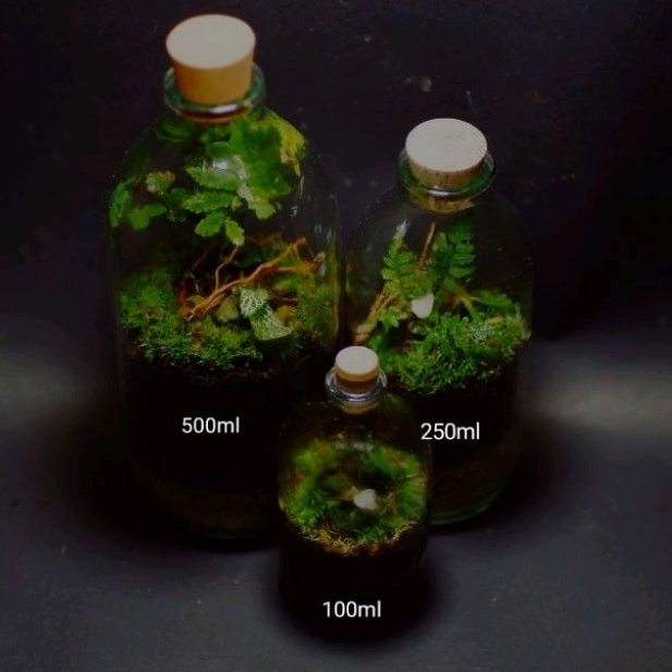 Jual TERARIUM BOTOL KIT | TERRARIUM KIT BOTTLE 100 - 500 ML | HIASAN KAMAR AESTHETIC | Shopee ...