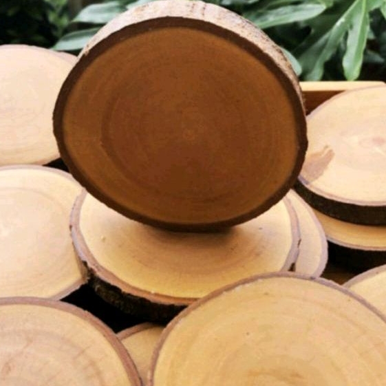 Jual tatakan kayu halus alas pot akuarium slice wood dekorasi foto ...