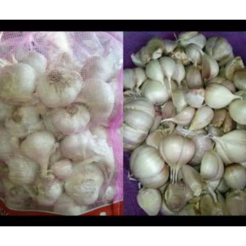 Jual Bawang Putih Kating KOTOR per BAL khusus INSTAN | Shopee Indonesia