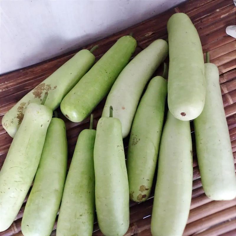 Jual Labu Cina/Labu Air Segar (2 Kg) | Shopee Indonesia