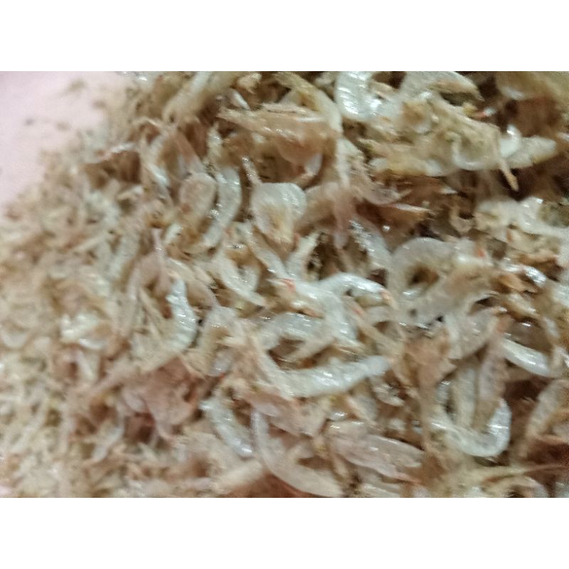 Jual Udang rebon tawar super (asli tawar) 250gr | Shopee Indonesia