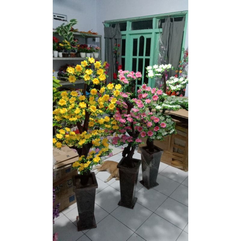 Jual Bunga Semanggi Rimbun/130cm/Komplit Pot/pilihan warna bisa chat ...