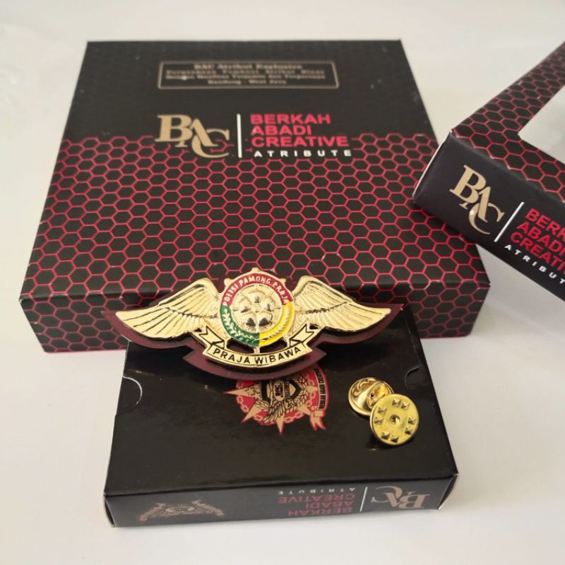 Jual Wing Brevet Pol PP Warna Exclusive | pin Wing Pol PP WARNA ...