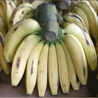 Jual Pisang Ambon Terlengkap & Harga Terbaru Juli 2024 | Shopee Indonesia
