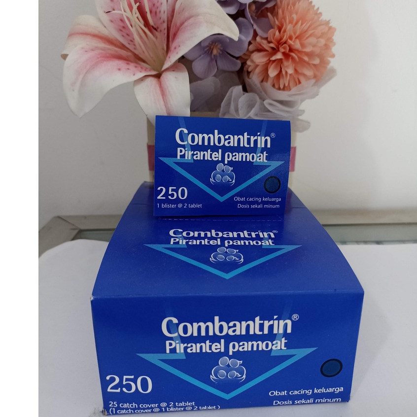 Jual Combantrin 250 mg Tablet (1 Strip isi 2 tablet) | Shopee Indonesia
