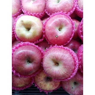 Jual Apple Fuji Terlengkap & Harga Terbaru Mei 2024 | Shopee Indonesia