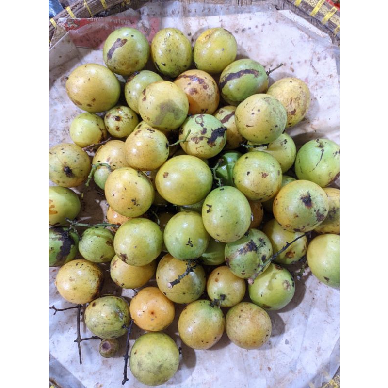 Jual jatake/Gandaria mateng 250gram | Shopee Indonesia