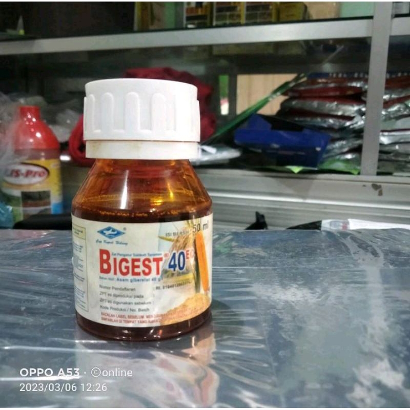 Jual Lebih Hemat Bigest ZPT Pertumbuhan 40ec 50 ml Original | Shopee ...