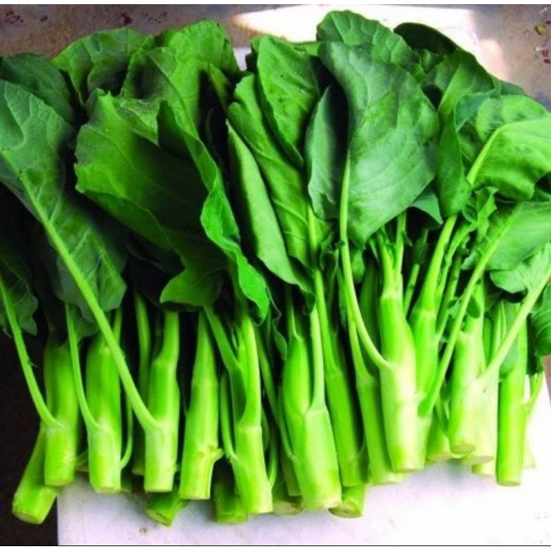 Jual Sayur Kailan Gai Lan Fresh | Shopee Indonesia