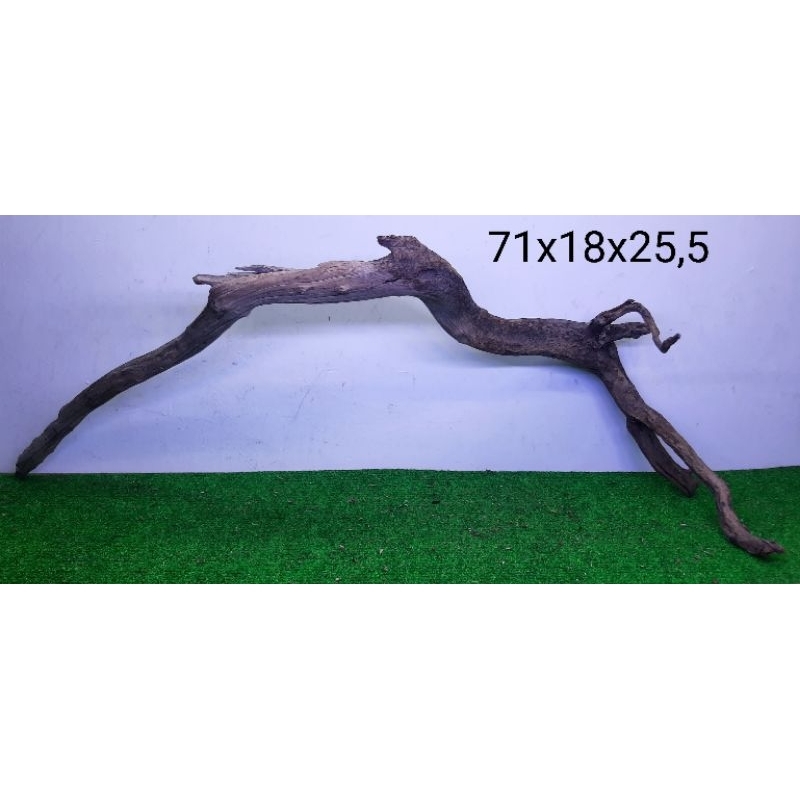Jual Kayu Santigi Laut - Kayu Tenggelam - Aquascape - Channa - 71x18x25 ...