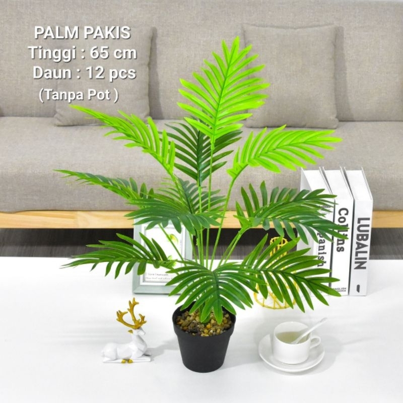 Jual POHON PALM JUMBO [ I'M BIG ] TINGGI = 1,25 METER ( BELUM TERMASUK ...
