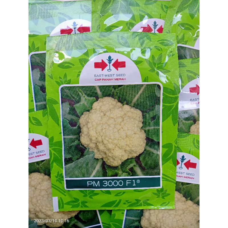Jual CAP PANAH MERAH - BENIH BUNGA KOL PM 3000 F1 ISI 10 Gram | Shopee ...