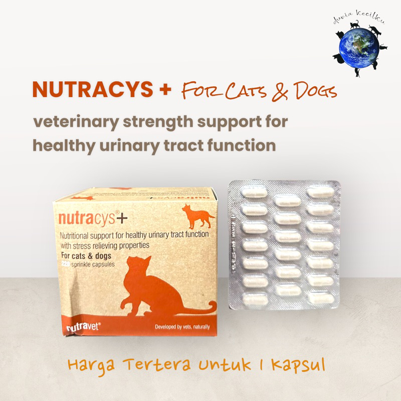 Jual Nutracys Plus Urinary Tract Suplemen Susah Kencing / FUS / FLUTD ...