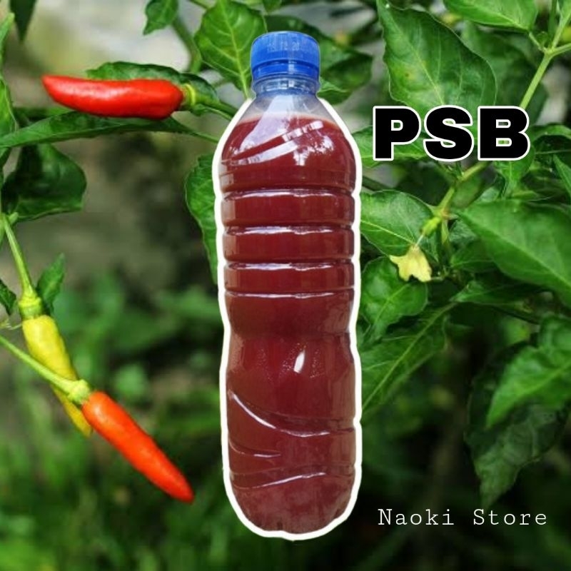 Jual Biang PSB Bakteri Fotosintesis | Pupuk Organik Cair | Shopee Indonesia