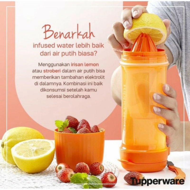 Jual INFUSED 2 GO botol infuse water | Shopee Indonesia