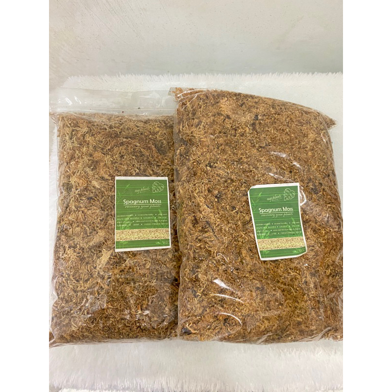 Jual Media tanam Sphagnum moss chile - lumut hutan kering spagnum mos ...