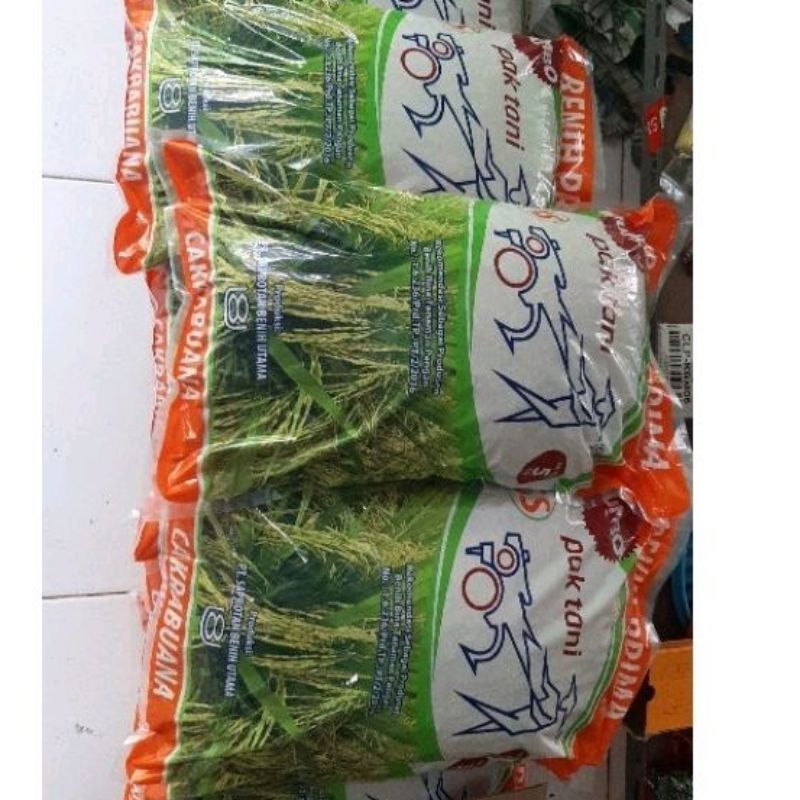 Jual BENIH PADI 5 KG CAKRABUANA / PADJADJARAN CAP PAK TANI Saprotan Utama | Shopee Indonesia