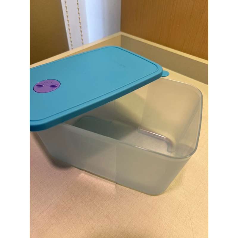 Jual Tupperware medium freezer mate ( with dial ) | Shopee Indonesia