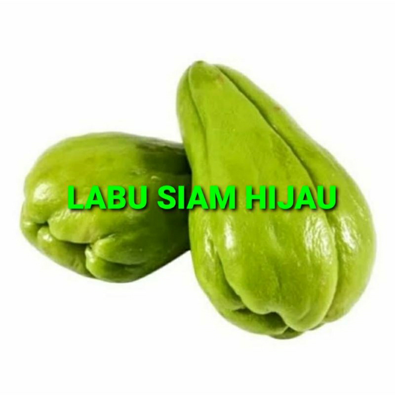 Jual LABU SIAM HIJAU KHUSUS PARA SULTAN 1 KG (PREMIUM QUALITY) | Shopee ...