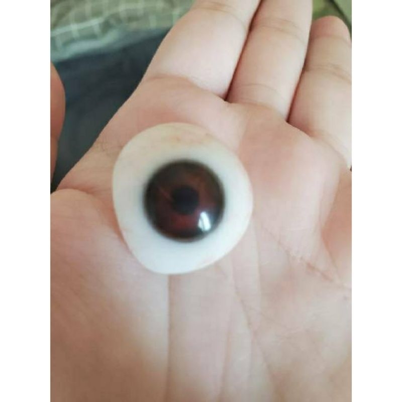 Jual Bola mata palsu buatan / artificial prosthetic eye warna hitam dan ...