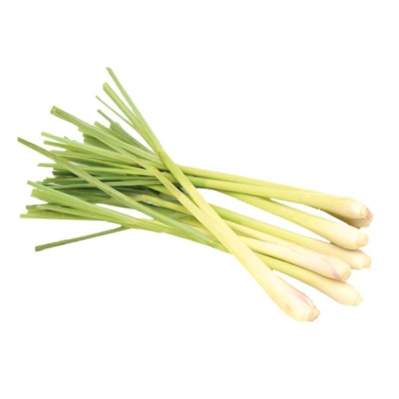Jual Serai dari wonogiri(1 pkt isi 10 batang) | Shopee Indonesia