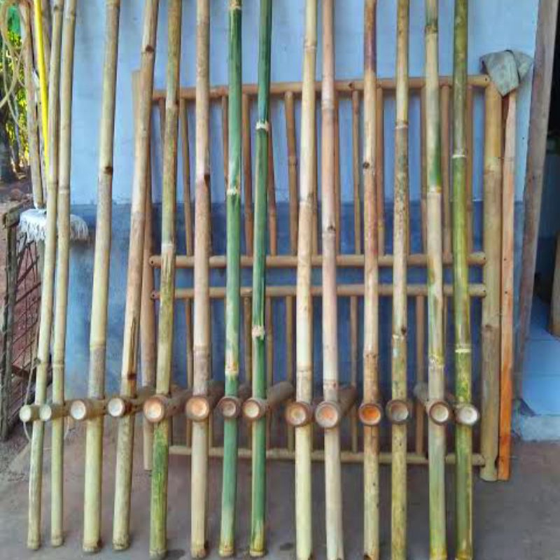 Jual Egrang Bambu Panjang 180cm Mainan Tradisional | Shopee Indonesia