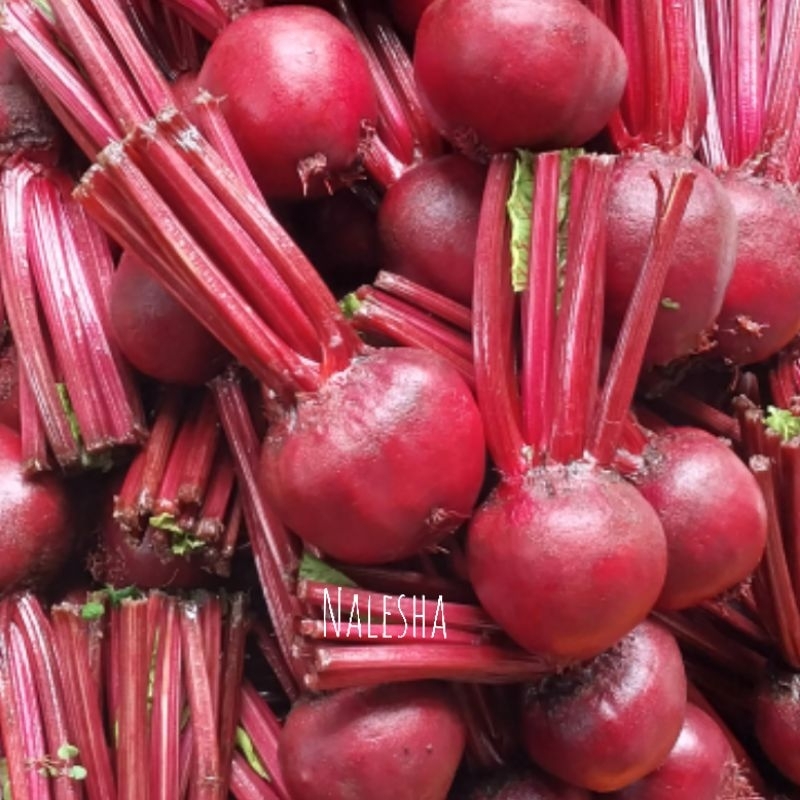 Jual BUAH BIT/BEET ROOT SEGAR 1KG TERLARIS | Shopee Indonesia