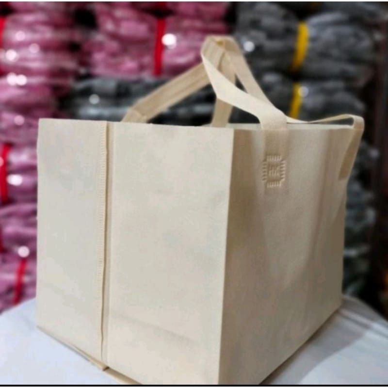 Jual (1Lsn =12pcs)Tas spunbond press 22 x22 / tas press box 22 / goodie ...