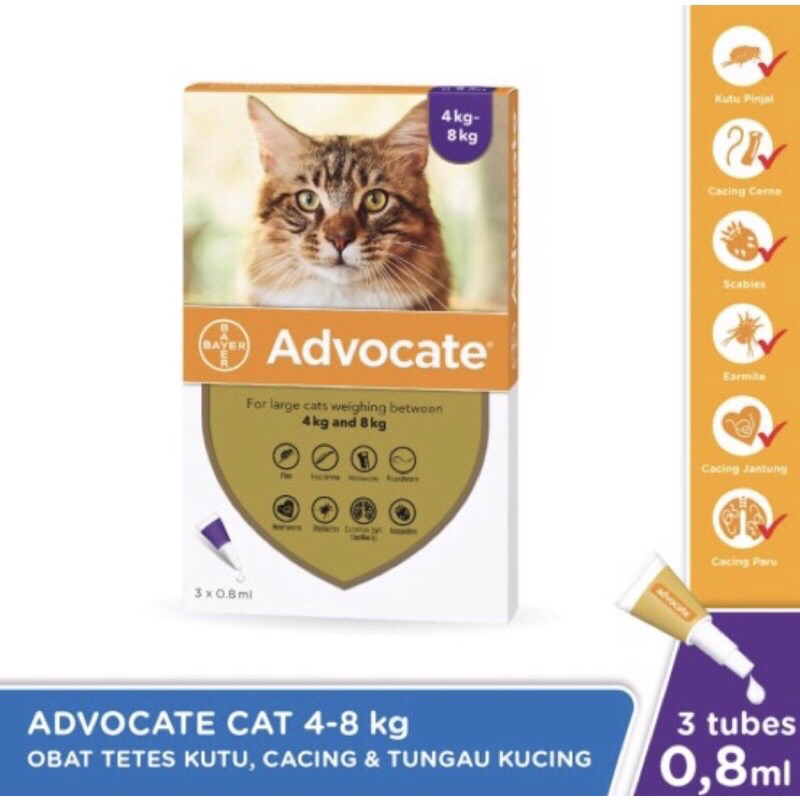 Jual ADVOCATE CAT Obat Kutu Kucing Berat Badan 4-8kg | Shopee Indonesia