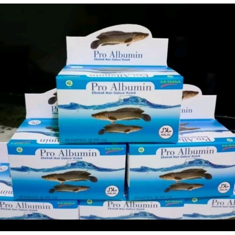 Jual Pro Albumin Kapsul Ikan Gabus Obat Pra Operasi Cesar | Shopee ...