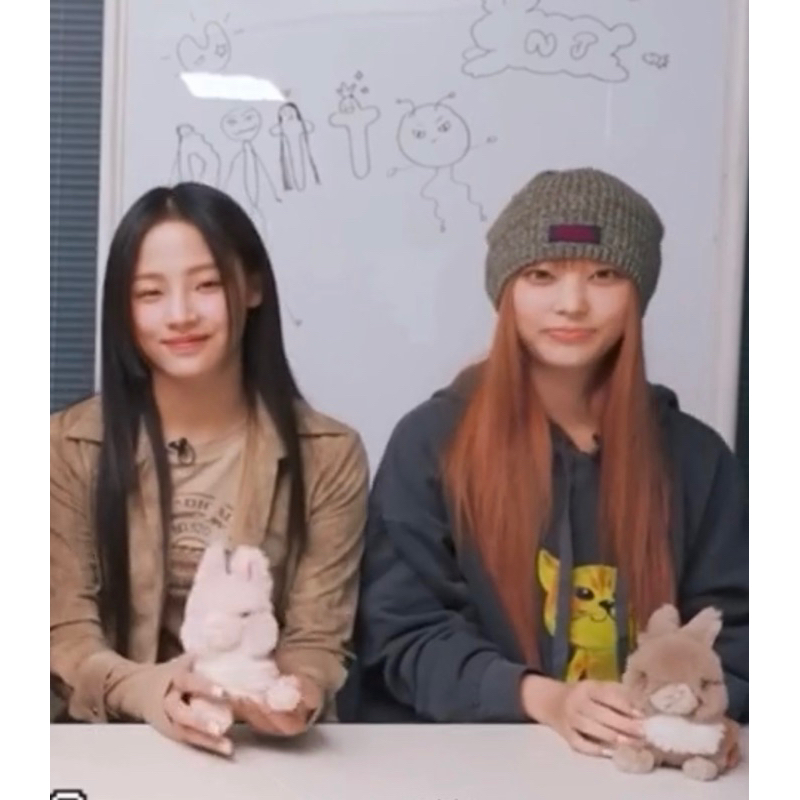 Jual NewJeans Bunny kelinci new jeans boneka sunlemon | Shopee Indonesia