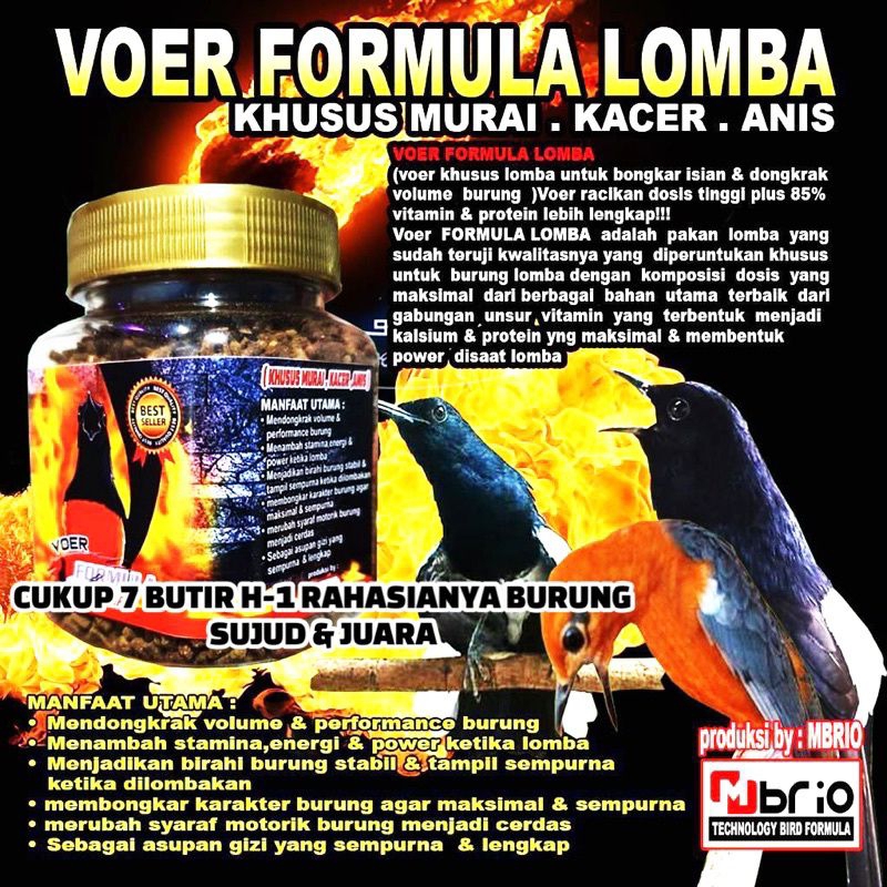 Jual Voer Formula Lomba Murai Kacer Makanan Pakan Pur Burung Murai ...