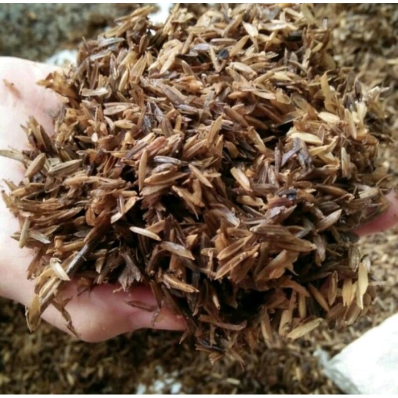 Jual Sekam Fermentasi Karungan Sekam Lapuk Sekam Padi Mentah Sekam ...