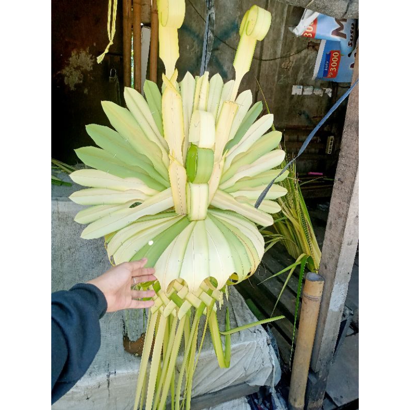 Jual Janur kuning pernikahan/khitanan asli segar CMHI BDG PDLRG ...