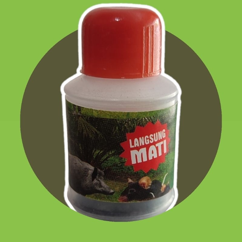 Jual TEMIK racun tikus | Shopee Indonesia