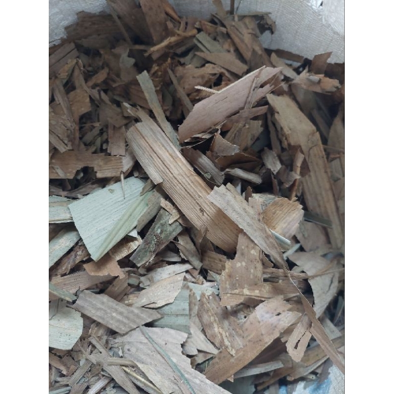 Jual Media Tanam Daun Bambu kering Bersih Tanpa Ranting, Humus Bambu ...