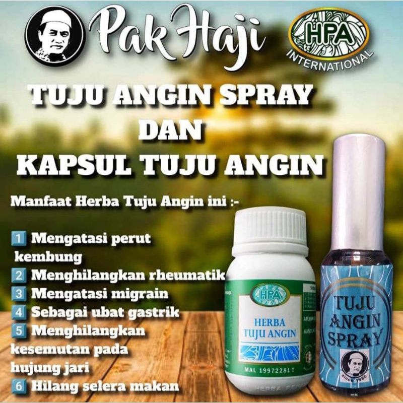 Jual PROMO HERBAL TUJU ANGIN SPRAY HPA PAK HAJI ORIGINAL KEMASAN ...