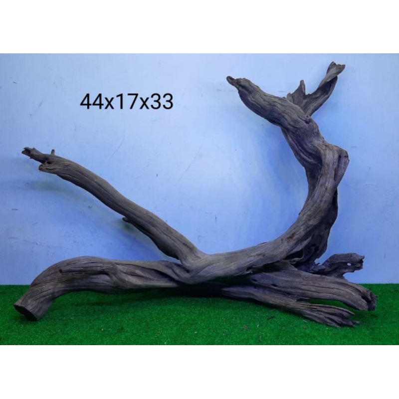 Jual Kayu Santigi Laut - Kayu Tenggelam - Aquascape - Channa - 44x17x33 ...