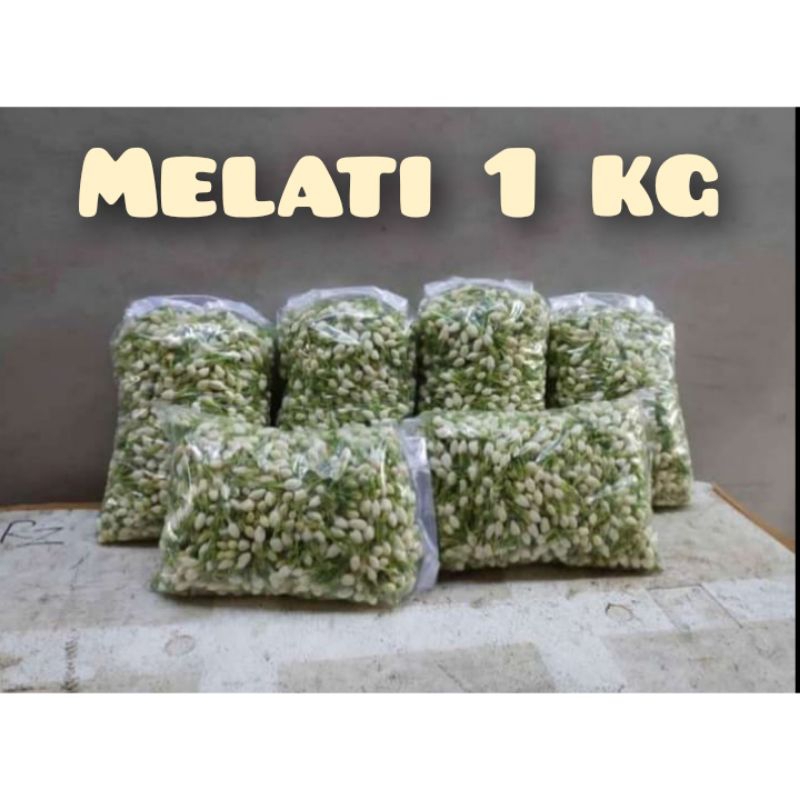 Jual Bunga Melati Putih ronce 1 Kg kembang tabur wangi dan segar ...